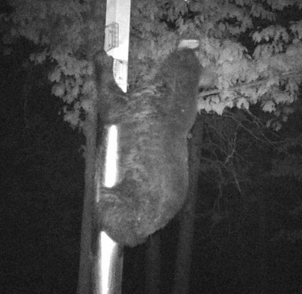 FB IMG - Beaming Pix